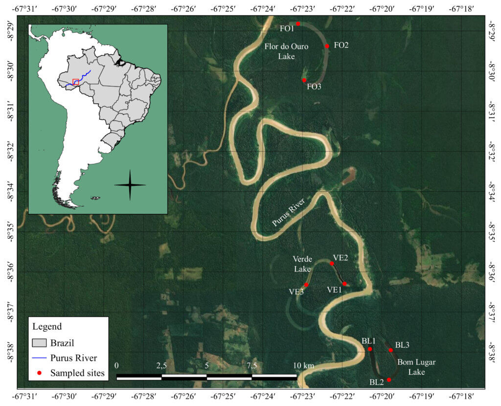 Pesquisa investiga interações ecológicas em áreas alagadas da Amazônia ...