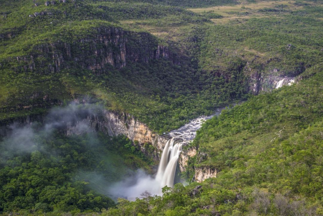 "The Climate Plan is a consequence of Brazil's commitment," says IPAM ...